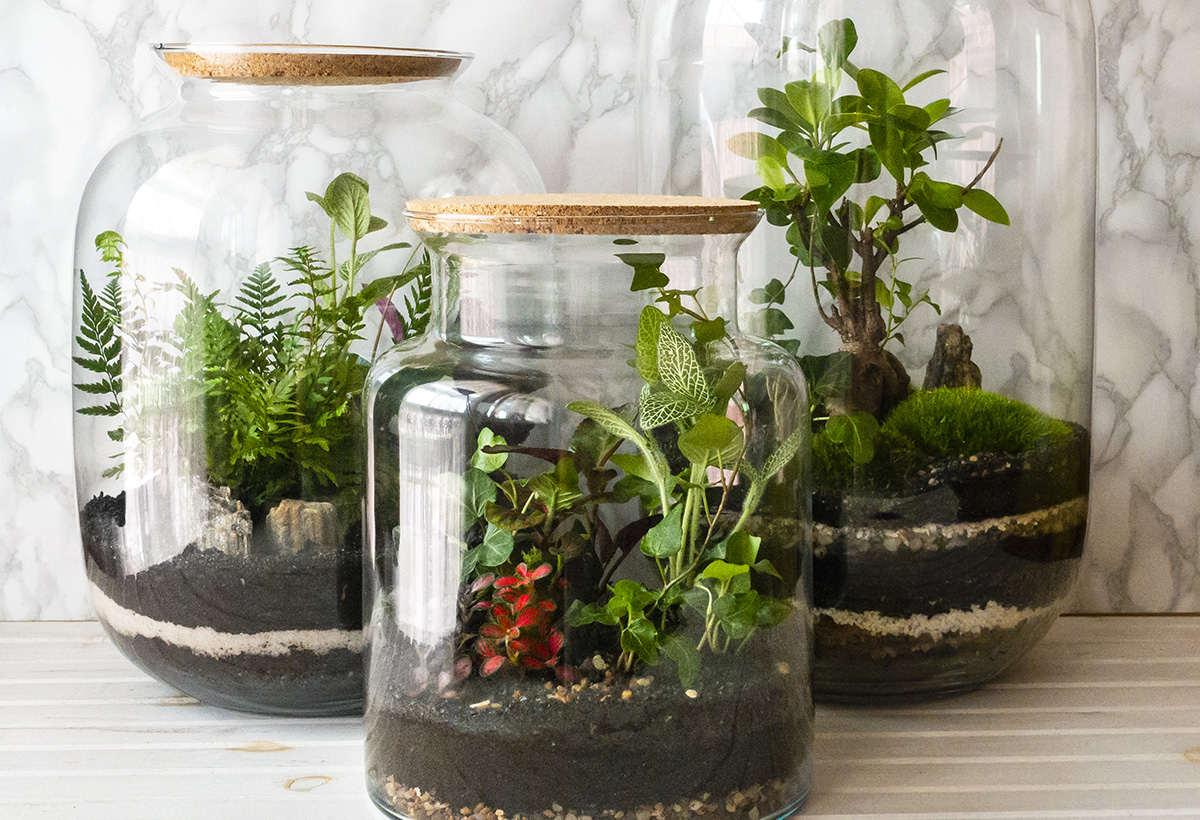 Personnalisez - Page 8 sur 16 - Blog BUT