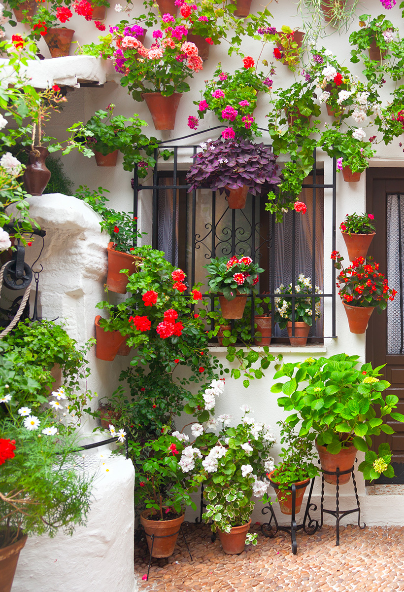 Quel aménagement pour une cour devant une maison : 5 idées – Blog BUT