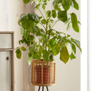 Top des cache-pots déco pour vos plantes d'intérieur – Blog BUT