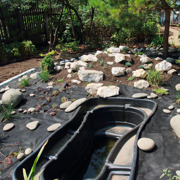 Nos idées d'aménagement d'un bassin en extérieur – Blog BUT