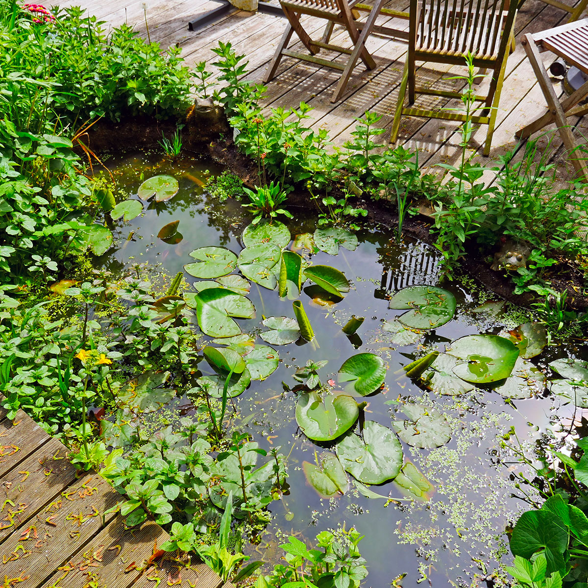 Nos idées d'aménagement d'un bassin en extérieur – Blog BUT