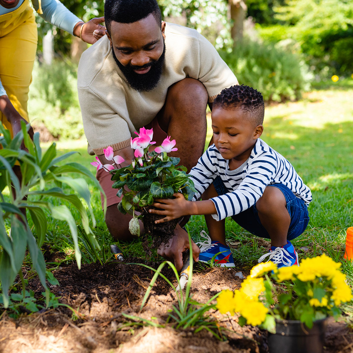 Comment avoir la main verte ? – Blog BUT