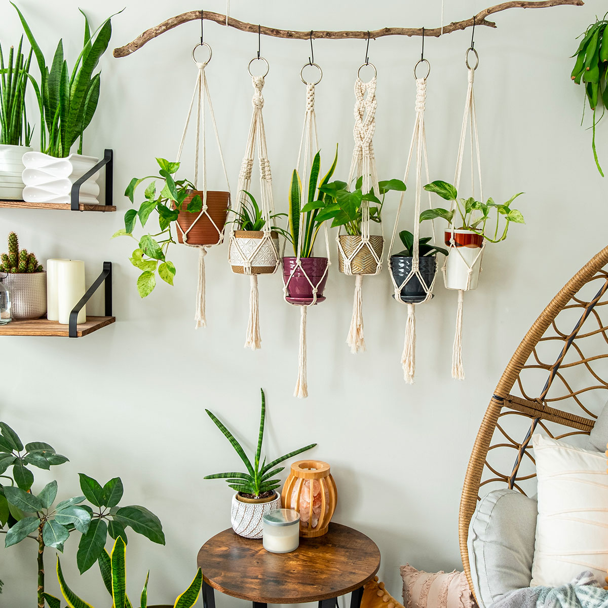 Déco avec des branches d'arbres, pour un intérieur nature – Blog BUT