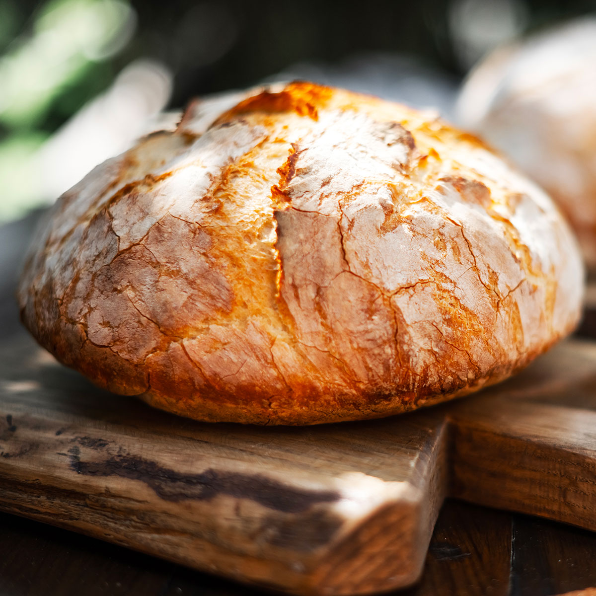 Que faire avec un robot pâtissier ? – Blog BUT