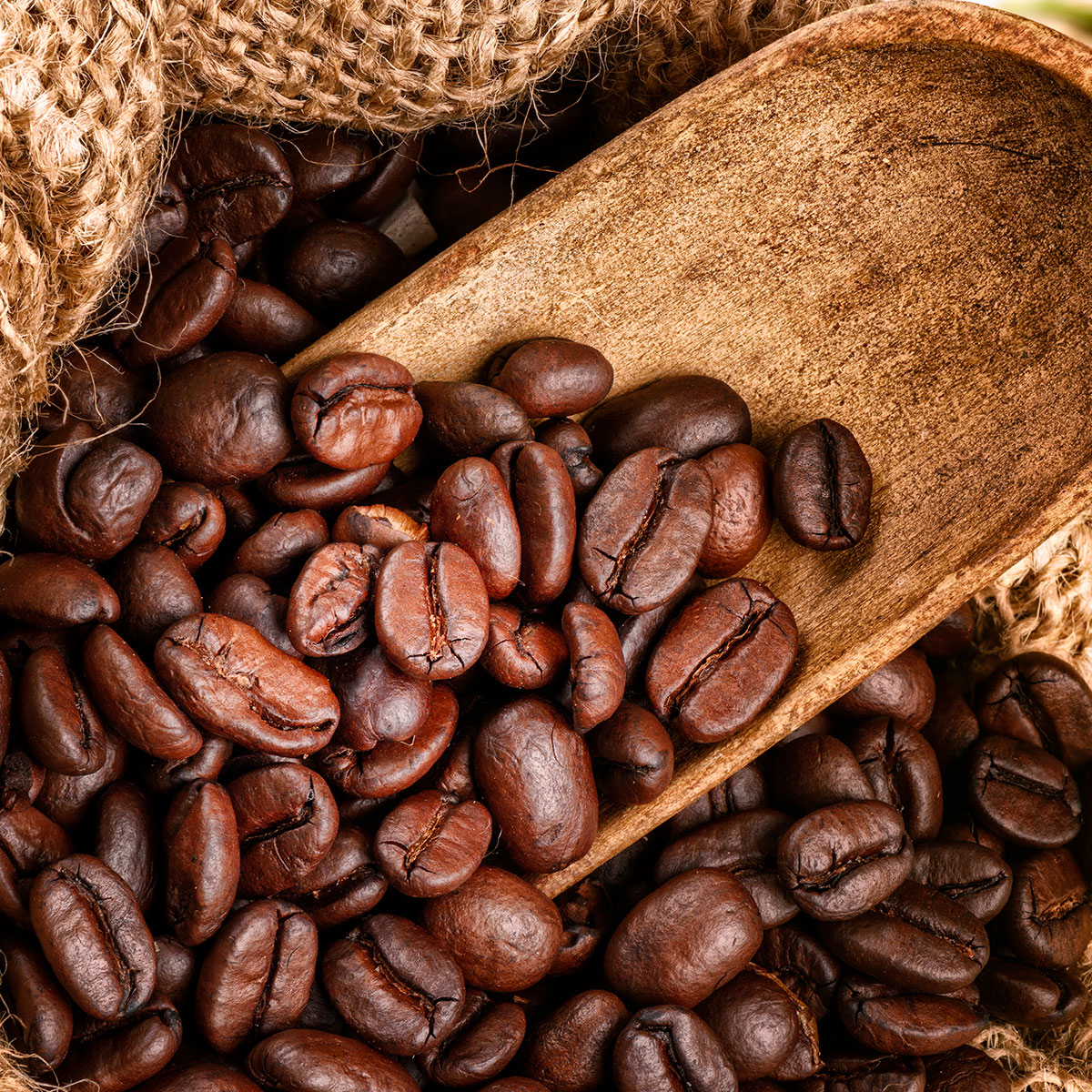 Le café en grains : plus économique et plus écologique ! – Blog BUT