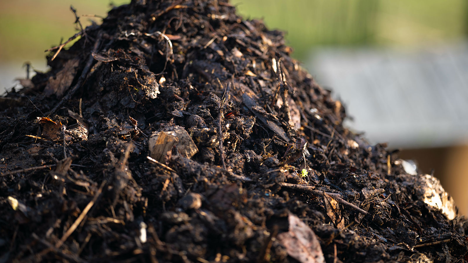 Astuces jardinage : comment faire du compost sans bac – Blog BUT