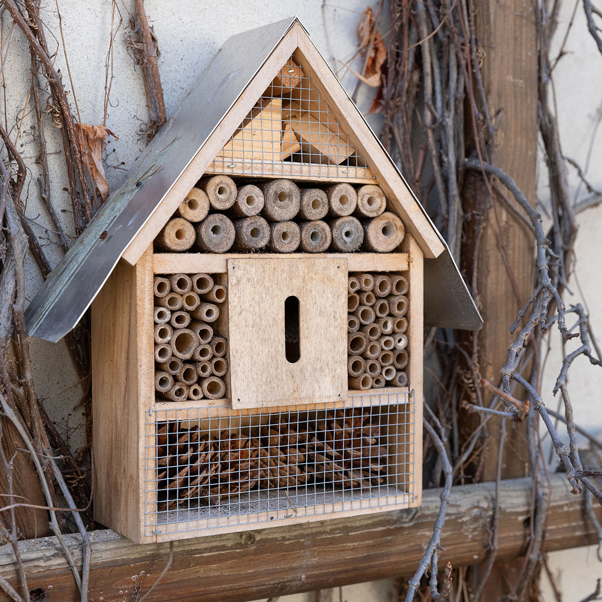 Biodiversité : à quoi sert une maison à insectes ? – Blog BUT